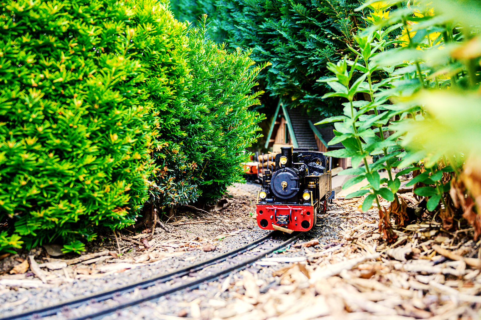 Gartenbahn für Jedermann - Unsere LGB Spur G : LGB Echtdampf Gartenbahner